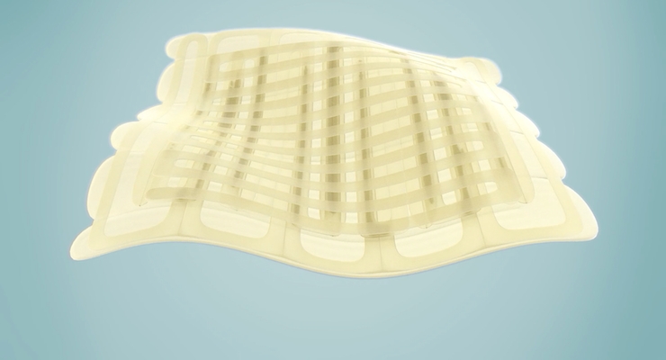 European Research Project Develops New Resorbable Bioceramic Materials ...