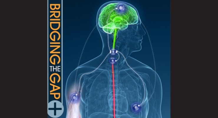 New Intelligent Bio-Interfaces Could Overcome Aspects of Spinal Cord ...