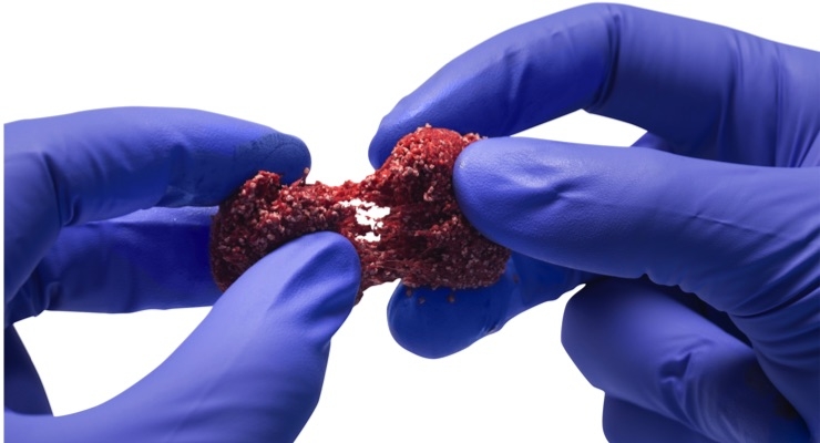 Disrupting the Ceramic Bone Graft Substitute Sector - ODT