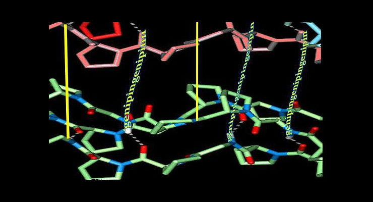 Rejuve Biologic Continues to See Positive Clinical Results for Low Back ...