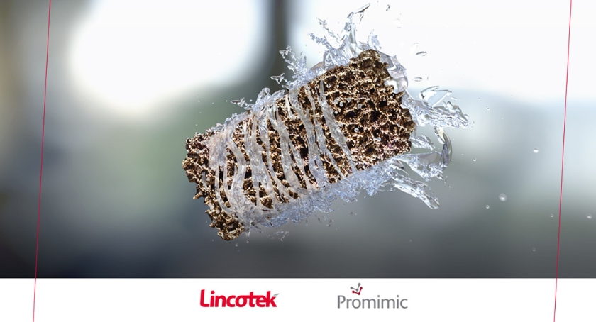 Lincotek, Promimic Ink Licensing Deal for HAnano Surface Tech
