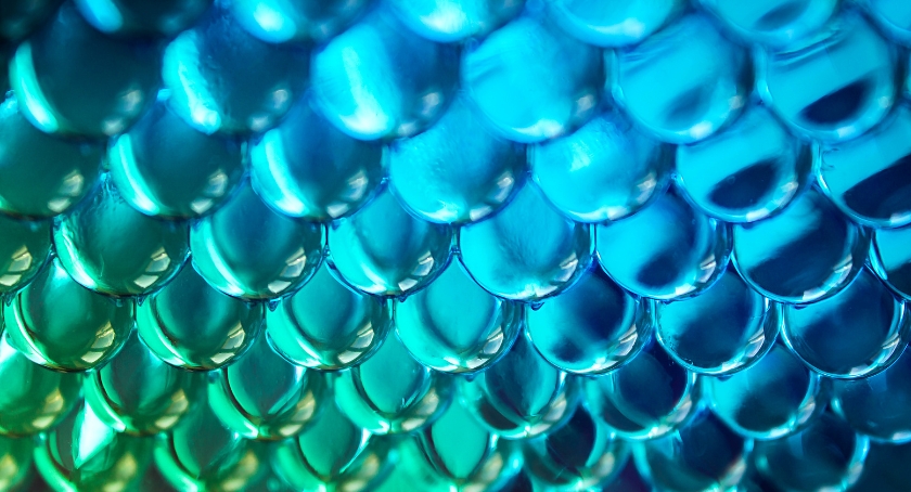 An Orthopedic Injectable Device: The Search for a Next-Gen Hydrogel